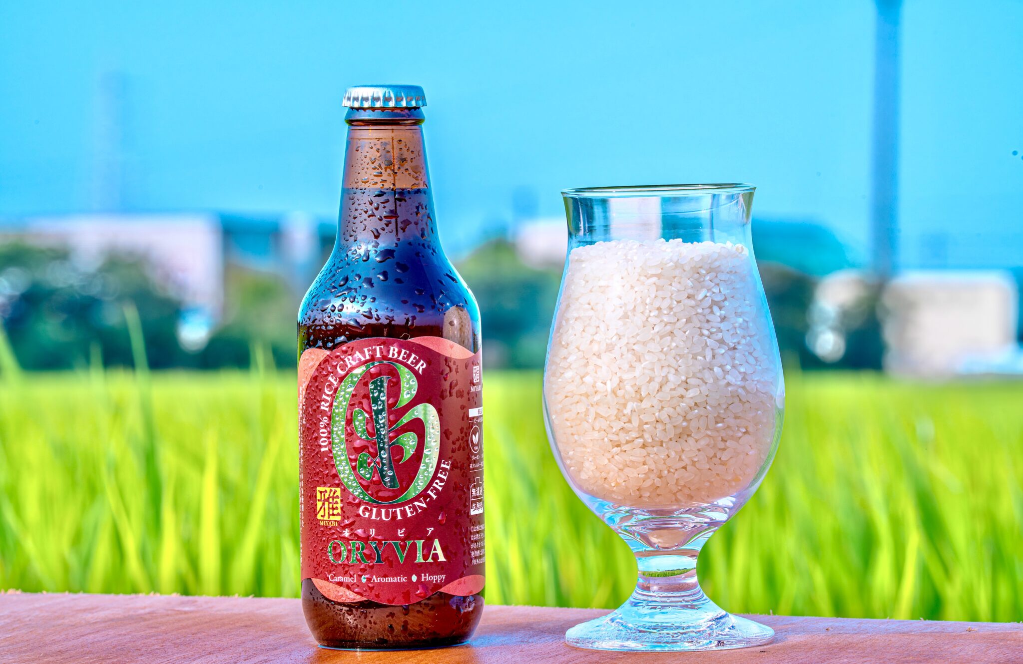 お米100％で醸す新時代クラフトビール「ORYVIA」──RICE HACK BREWERYが描く“BEER FOR ALL”の未来 ...